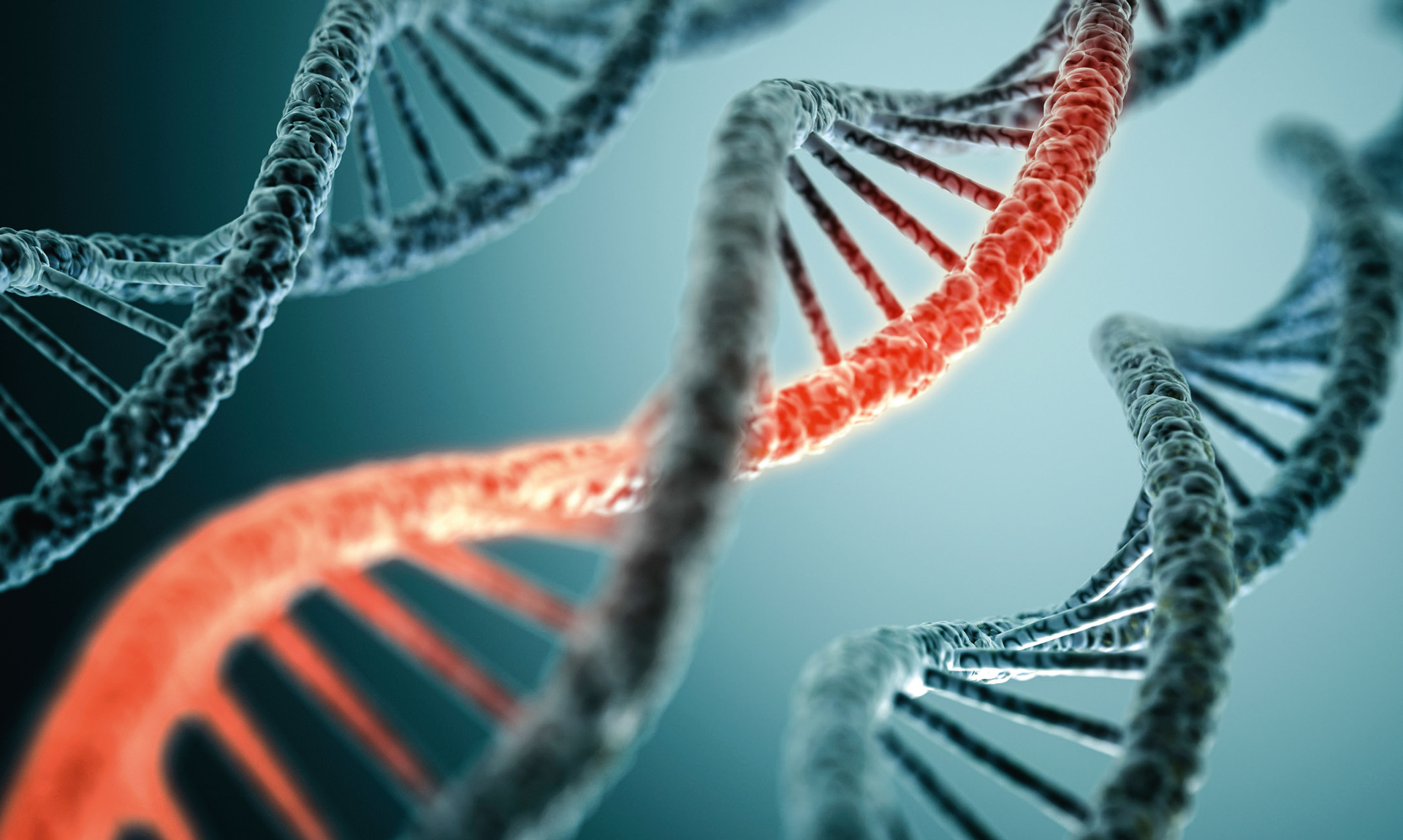 Imposante Aufholarbeit der Humangenetik