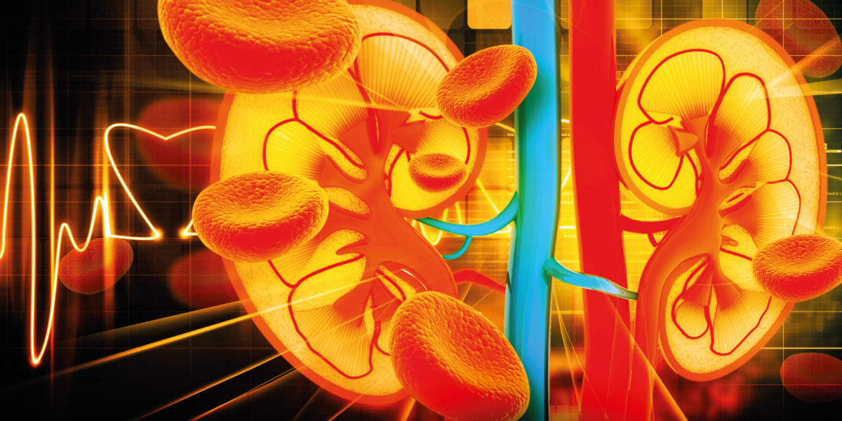 Nephrologie Archive - medonline