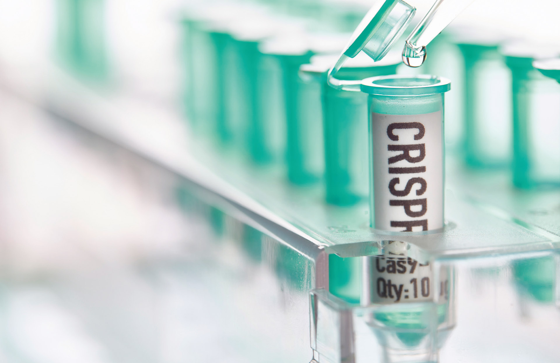 Genetische Hauterkrankungen: Was die Gentherapie bringt