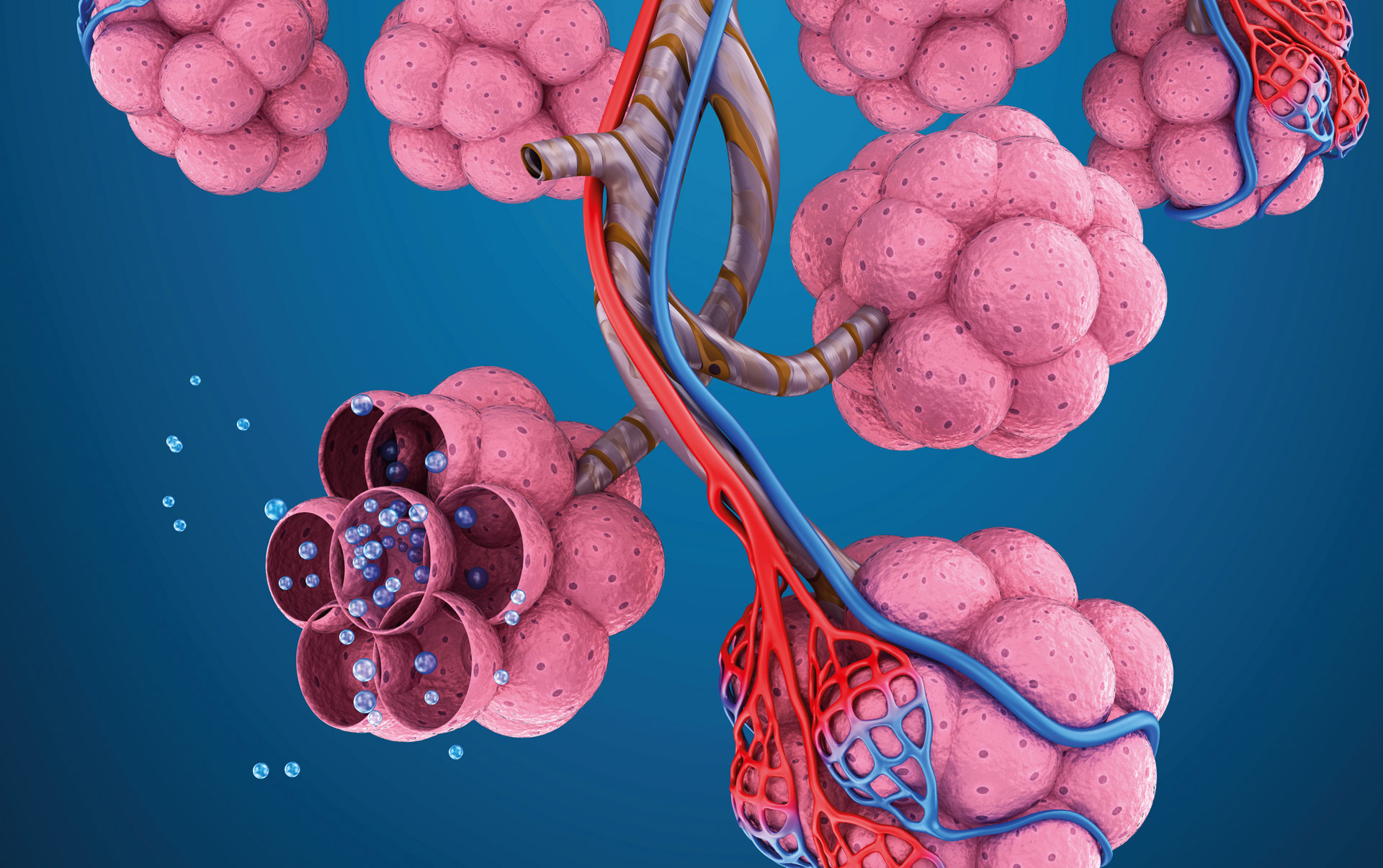 Pneumo Aktuell: Lungenerkrankungen interdisziplinär gesehen