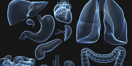 Bei Milzruptur Ursache suchen!