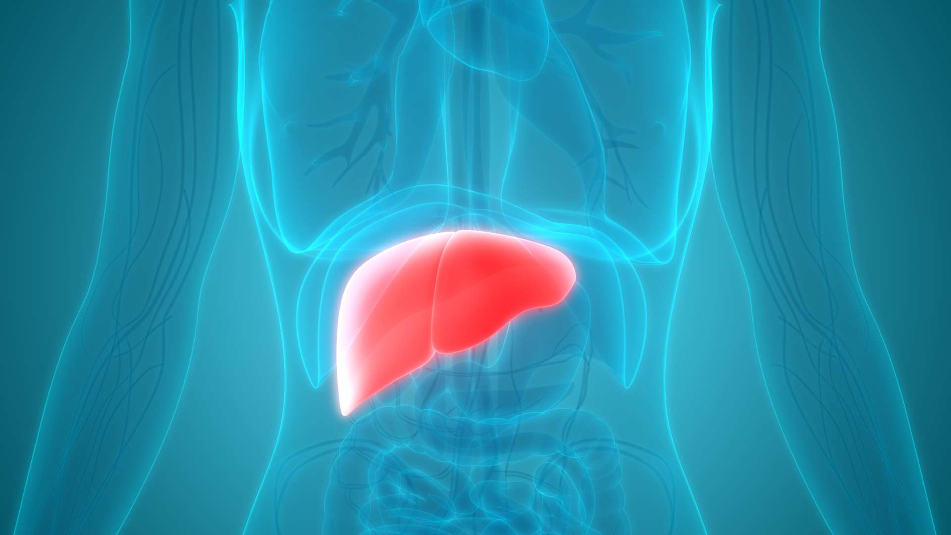 Neue Therapieansätze machen Hoffnung bei der Autoimmunhepatitis