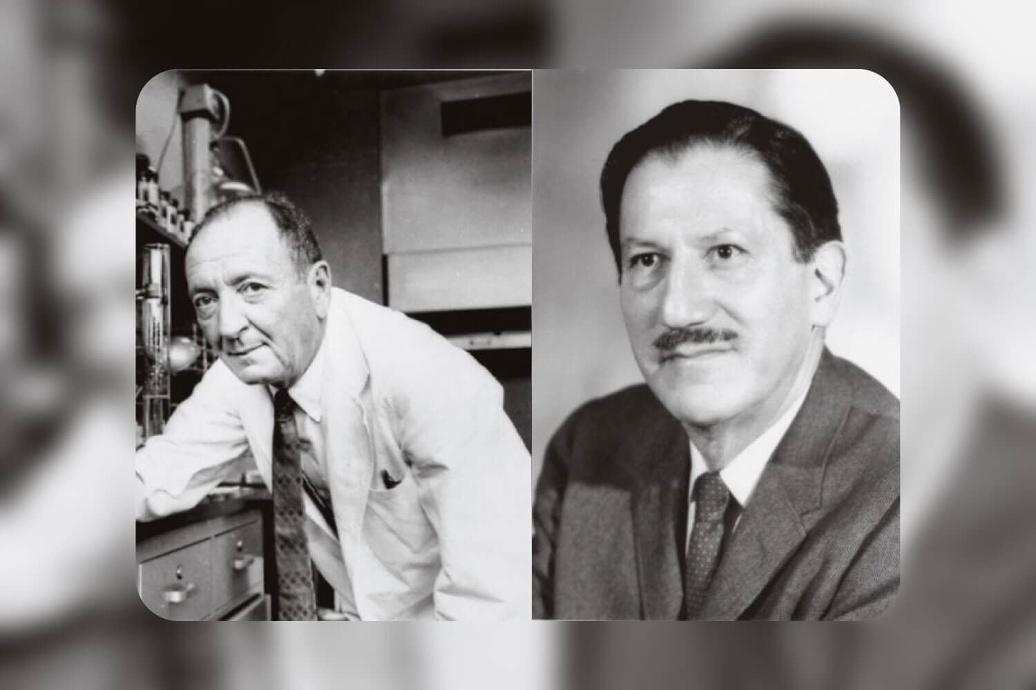 Chemotherapie: Alfred Gilman & Louis Goodman